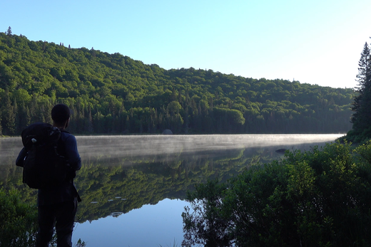 46 km de La Montagne Noire au Mont Nixon | Mount Trail